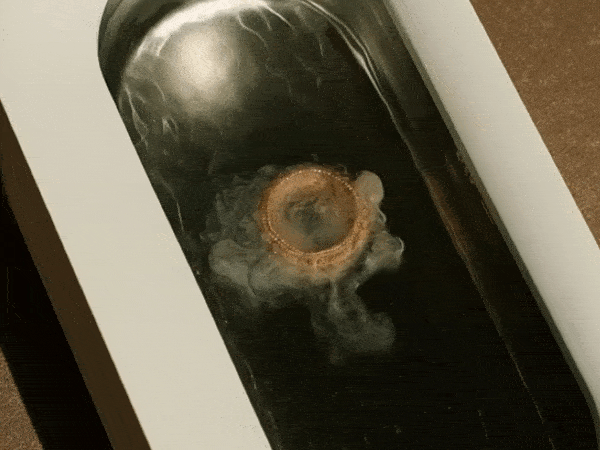 Akua Sonic – Akuasonic